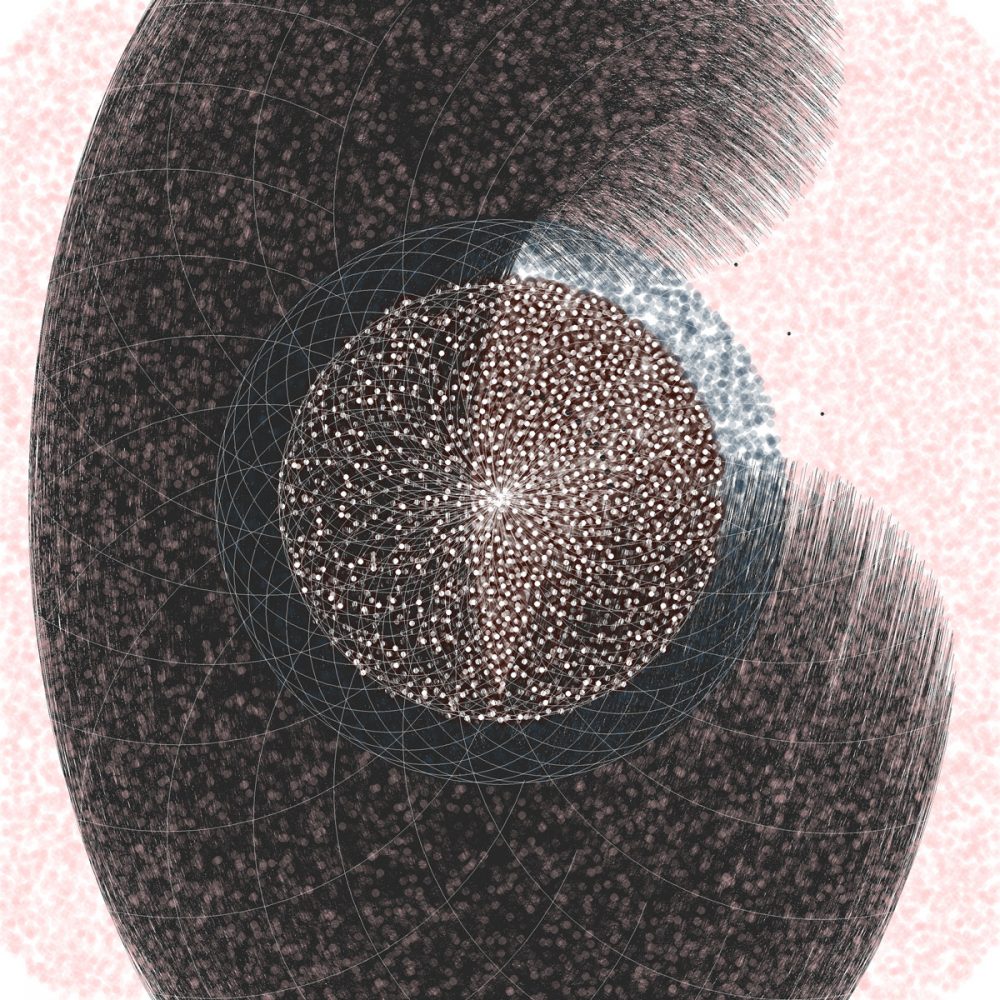 Algorithmic Art – Artwork of Max Morresi